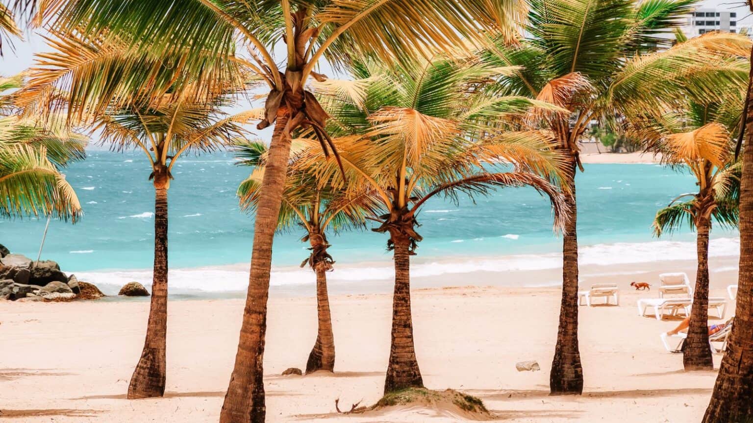 12 White Sand Beaches in the Caribbean You Will Love