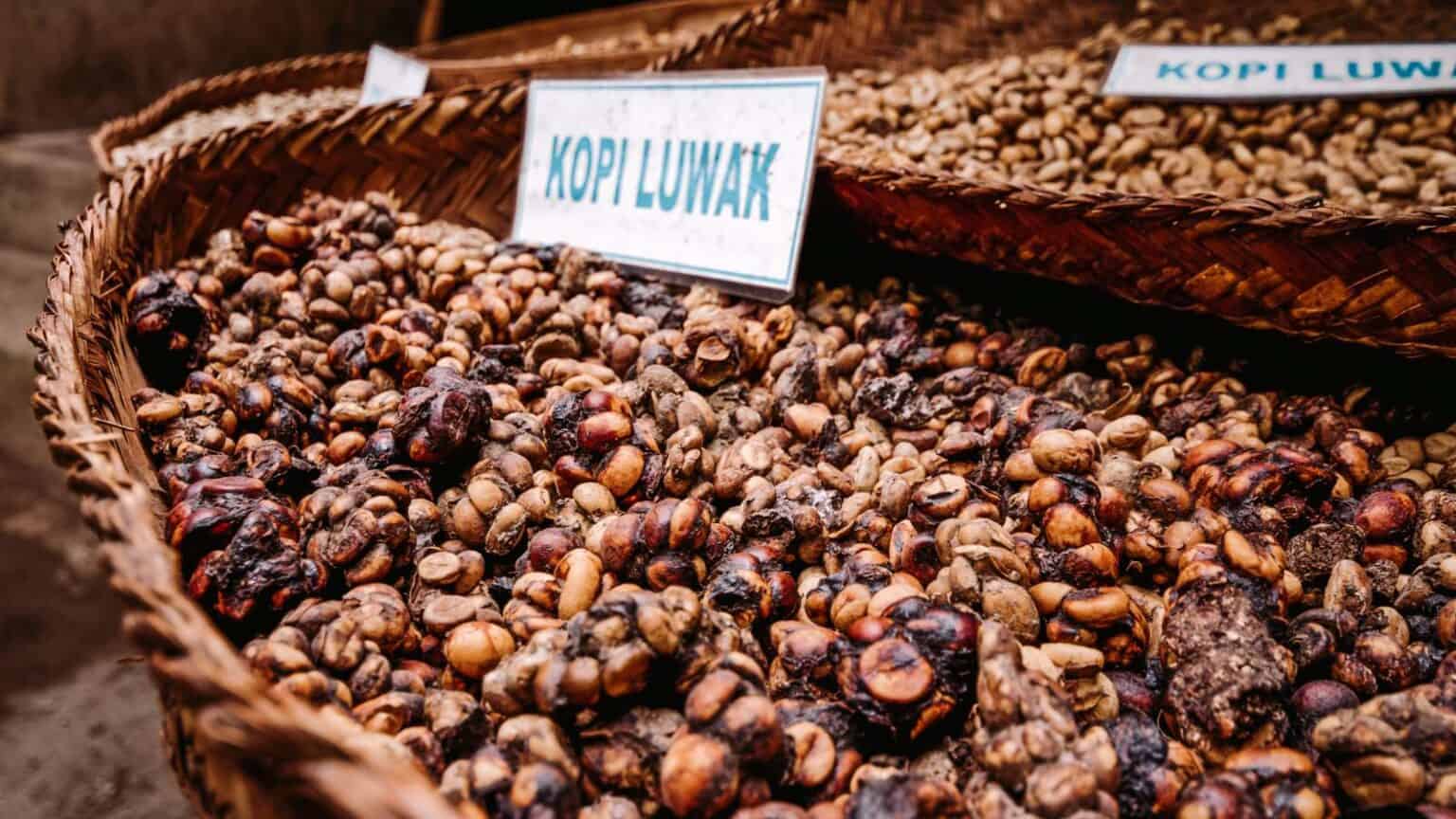 13 Weird Foods From Around the World That Will Challenge Your Taste ...