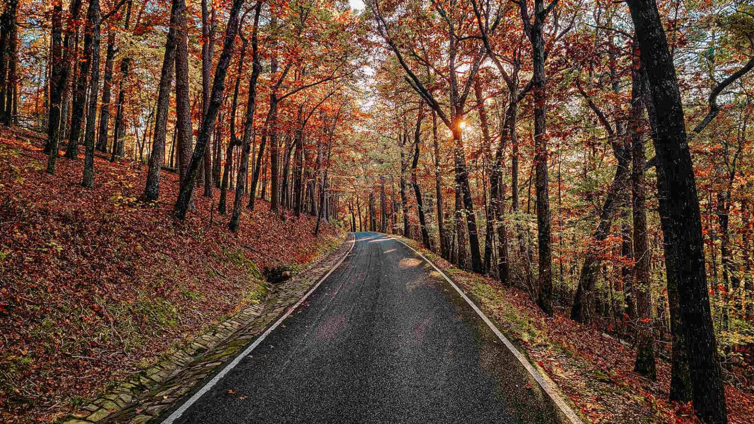 These 12 Stunning Fall Hikes in the US Will Make You Love Autumn Even More