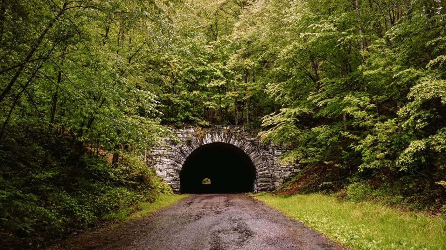 12 Haunted Roads in the US That Will Make You Second-Guess Night Drives