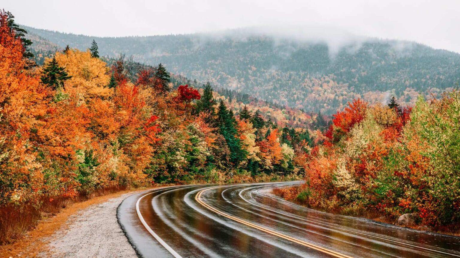 12 Picture-Perfect Fall Road Trips in the US To Fuel Your Wanderlust