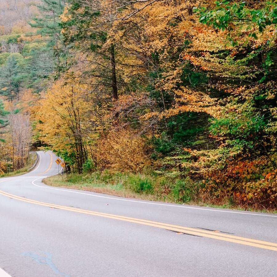 12 Picture-Perfect Fall Road Trips in the US To Fuel Your Wanderlust