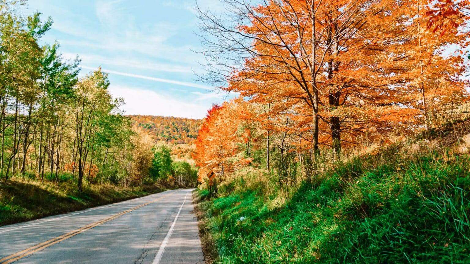 12 Picture-Perfect Fall Road Trips in the US To Fuel Your Wanderlust