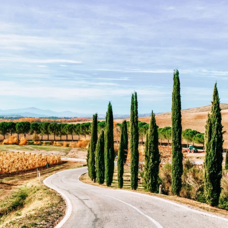 12 Beautiful Fall Foliage Road Trips in the World To See Nature at Its Best