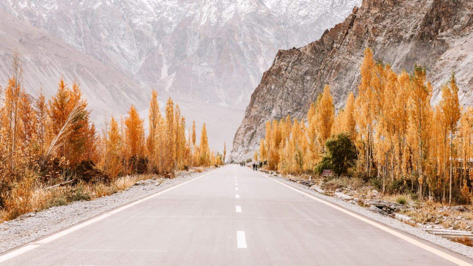 12 Beautiful Fall Foliage Road Trips in the World To See Nature at Its Best