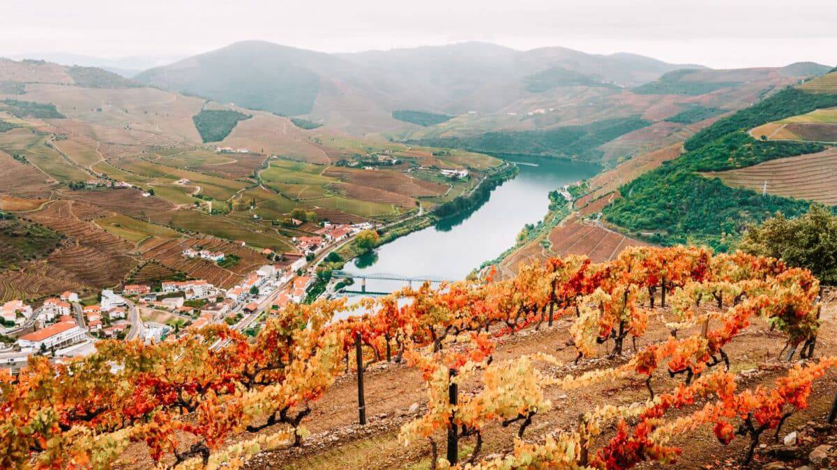 12 Beautiful Fall Foliage Road Trips in the World To See Nature at Its Best