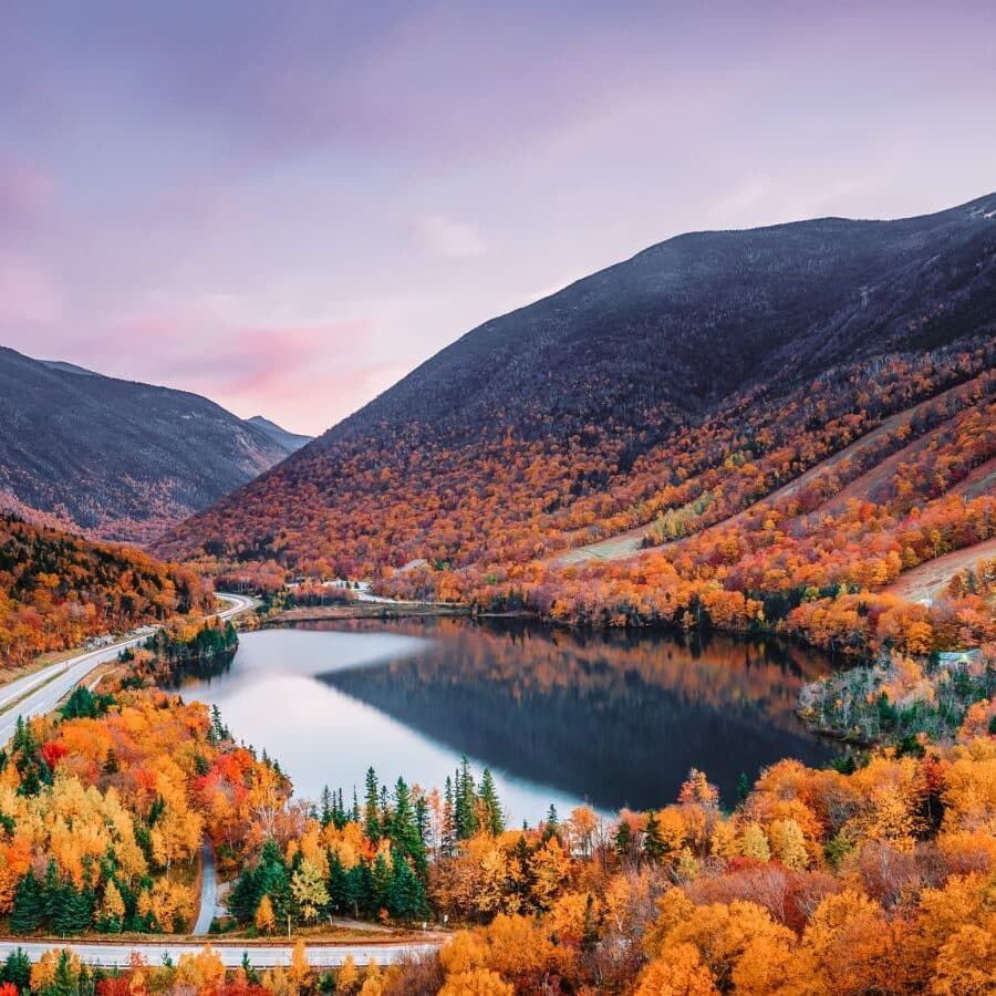12 Beautiful Fall Foliage Road Trips in the World To See Nature at Its Best