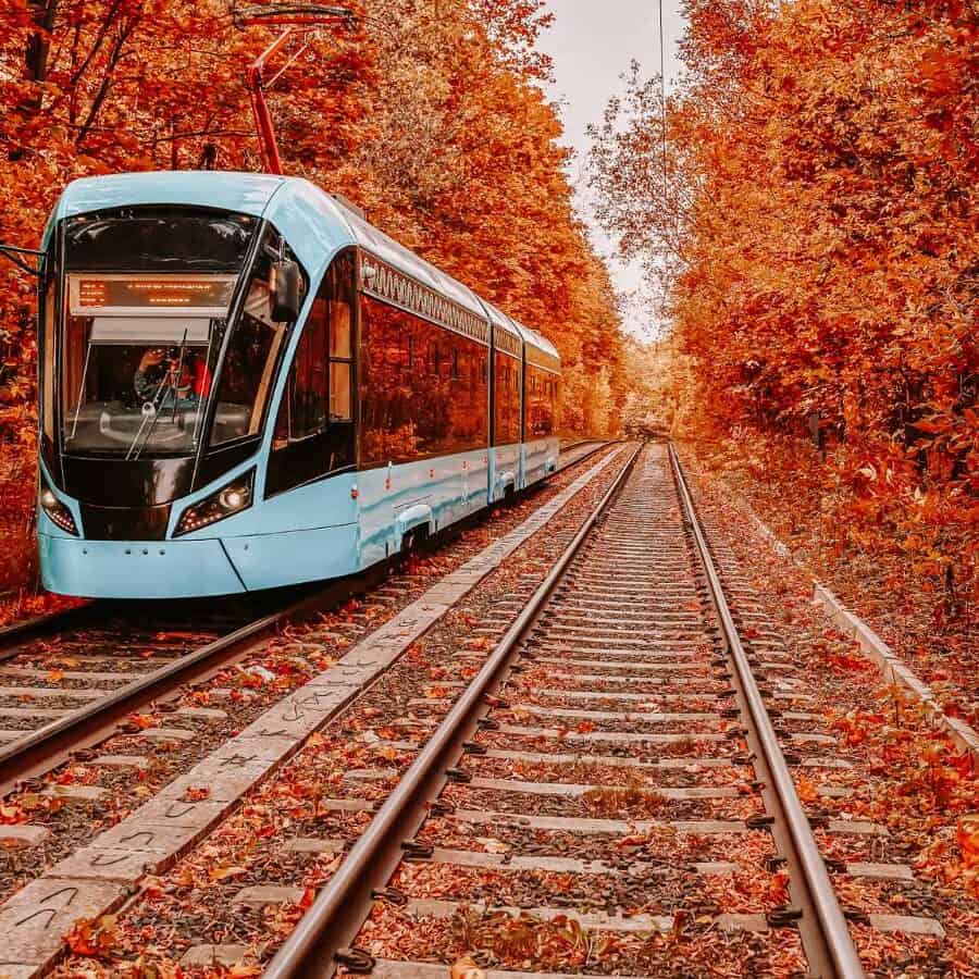These 12 Fall Foliage Train Rides in the US Will Outshine Your Pumpkin ...