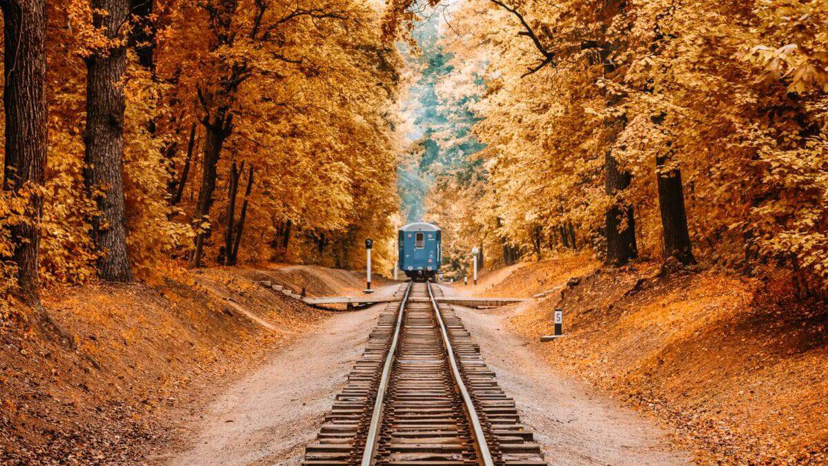These 12 Train Rides for Fall Foliage Are Peak Autumn Vibes