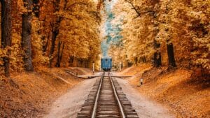 These 12 Train Rides for Fall Foliage Are Peak Autumn Vibes