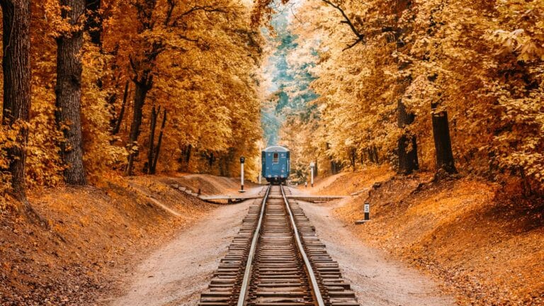 These 12 Train Rides for Fall Foliage Are Peak Autumn Vibes