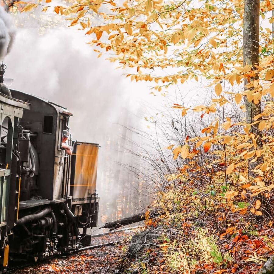 These 12 Fall Foliage Train Rides in the US Will Outshine Your Pumpkin ...