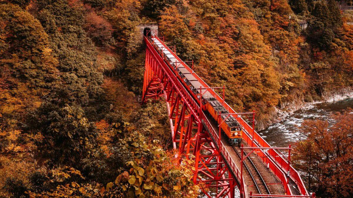 These 12 Train Rides for Fall Foliage Are Peak Autumn Vibes