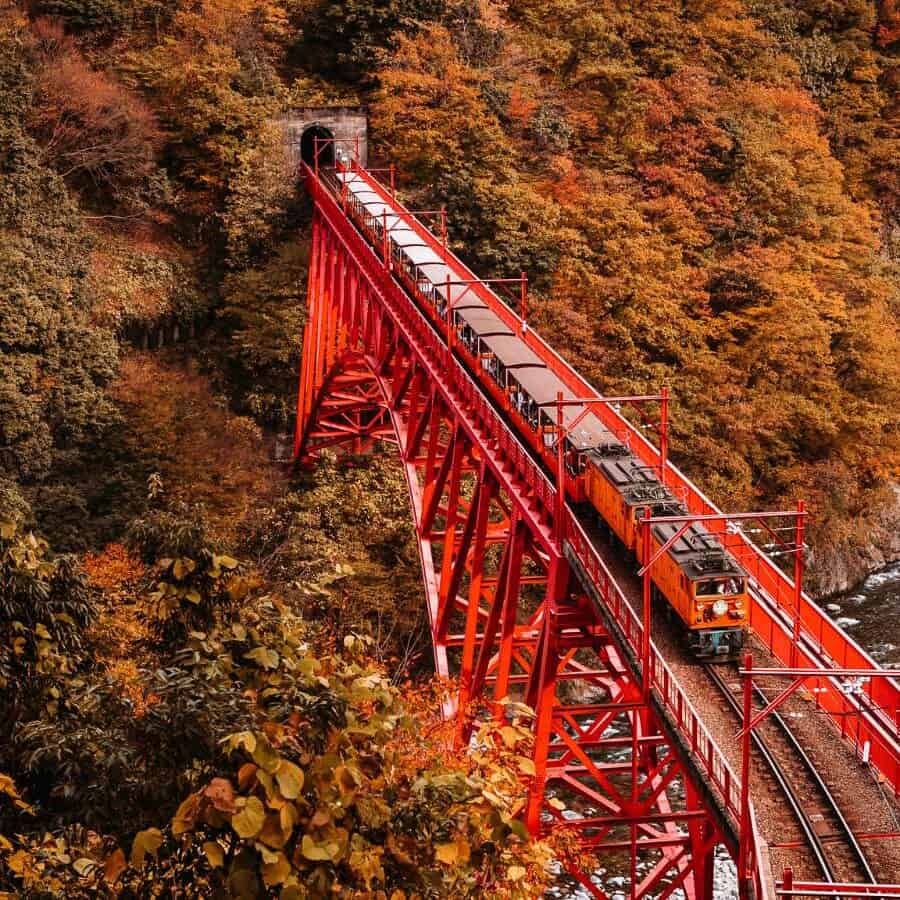 These 12 Train Rides for Fall Foliage Are Peak Autumn Vibes