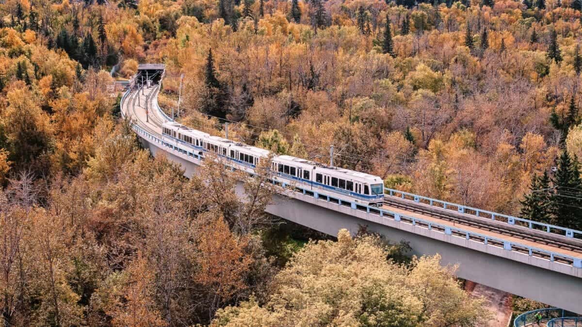 These 12 Train Rides for Fall Foliage Are Peak Autumn Vibes