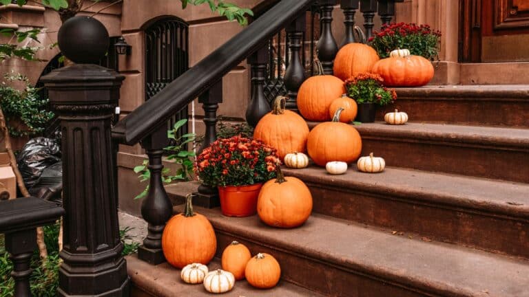 These 12 Best Places for Halloween Are So Good, You’ll Want To Pack a ...