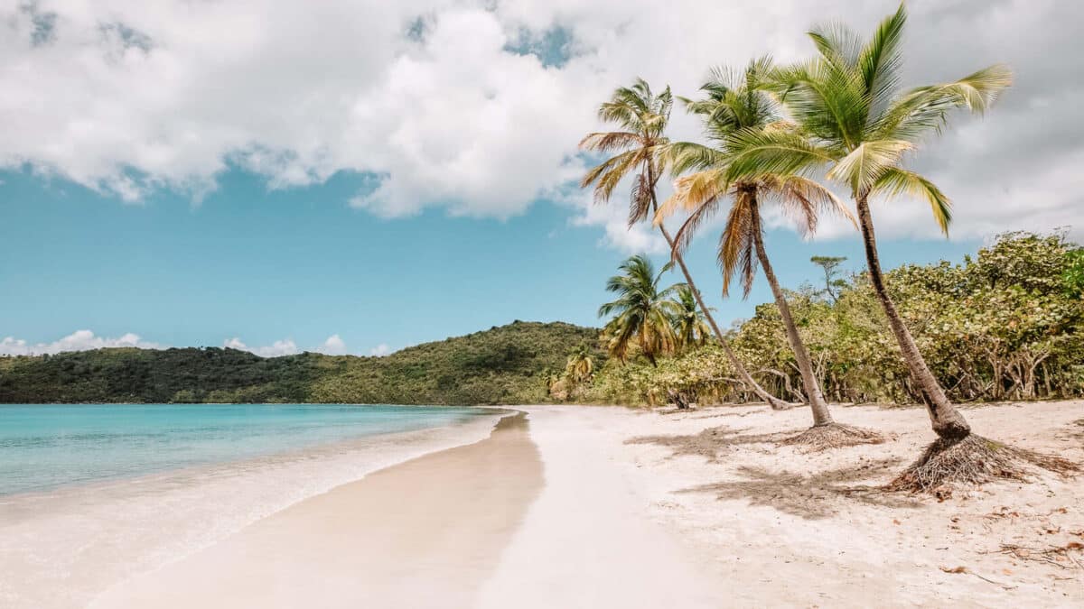 12 Surprisingly Tropical Islands in Europe That Will Make You Forget ...