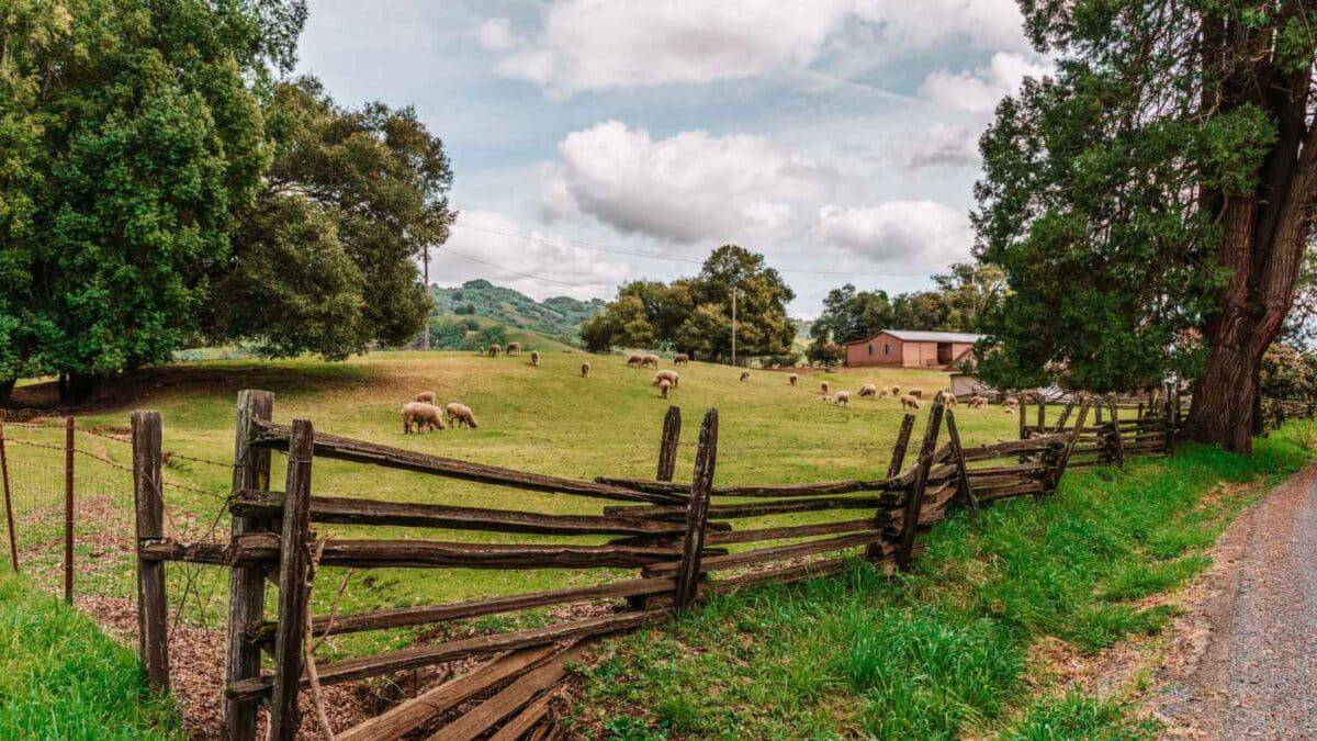 12 Beautiful Small Towns in the US That Will Make You Want To Move ...