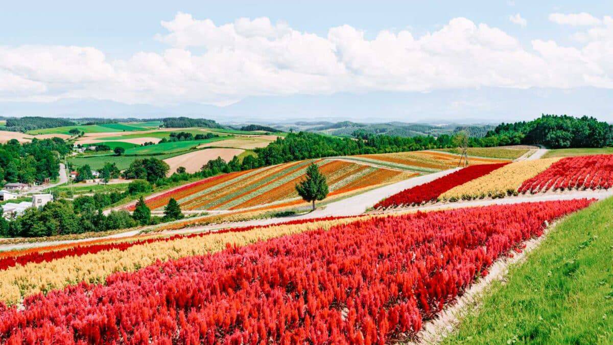 12 Beautiful Hidden Destinations in Japan Where You Can Escape the Crowds