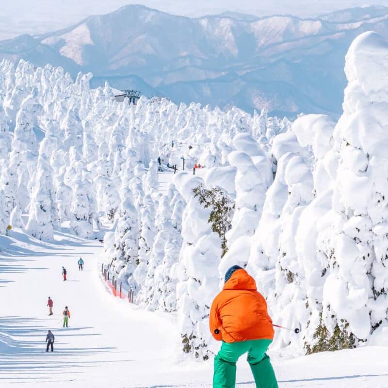 12 Best Winter Destinations in Japan You’ll Want To See Covered in Snow