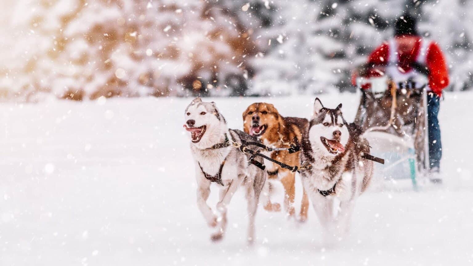 Love the Snow? These Are the 12 Snowiest Cities in the US