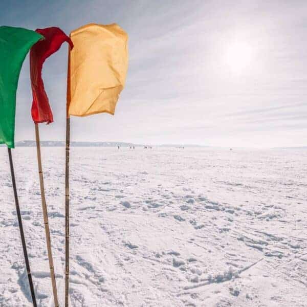 12 Fascinating Facts About the North Pole You Probably Didn’t Know