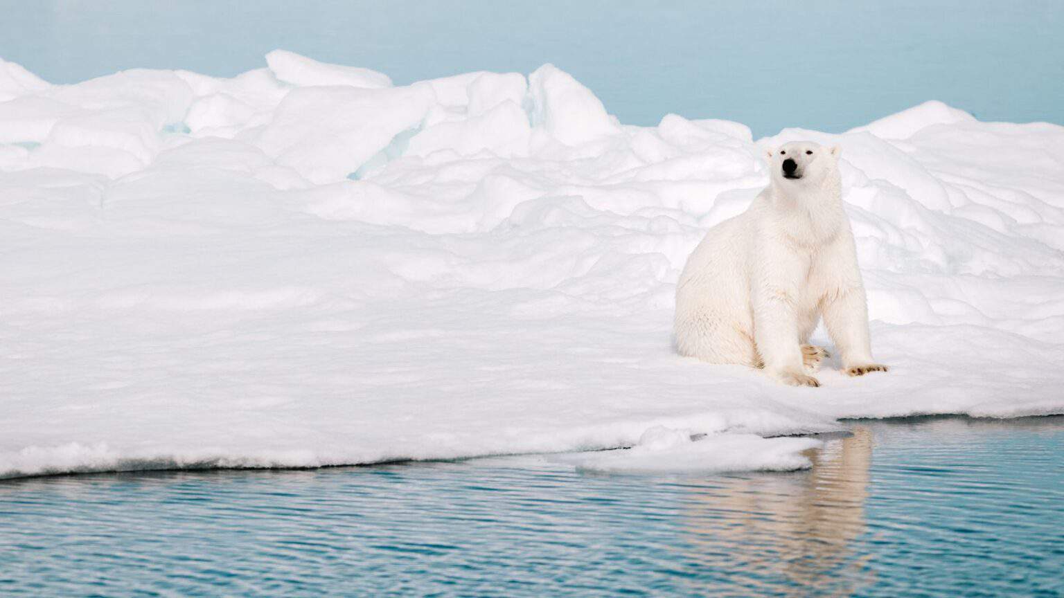 12 Fascinating Facts About the North Pole You Probably Didn’t Know