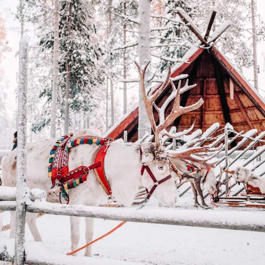 These 12 Winter Destinations in the World Will Make You Fall in Love ...