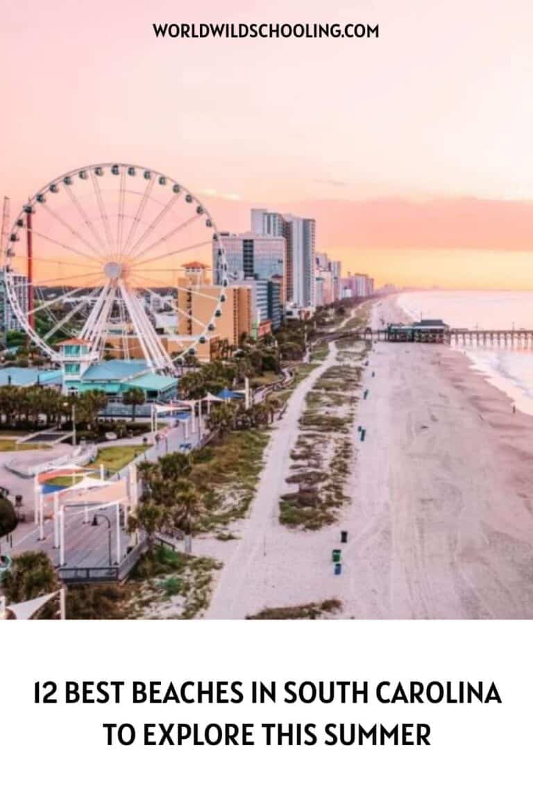 12 of the Best Beaches in South Carolina You'll Want To Explore This Summer