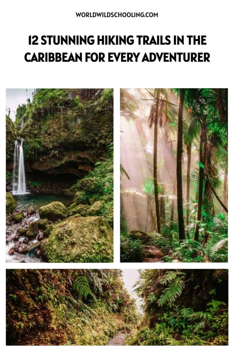 12 Unforgettable Hiking Trails in the Caribbean 2026