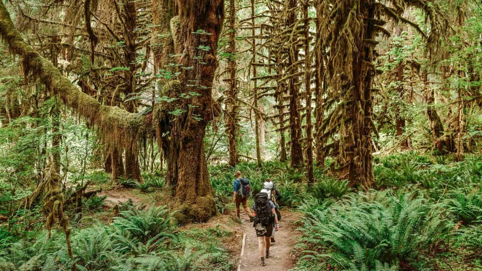 12 Top Things To Do in Seattle, Washington