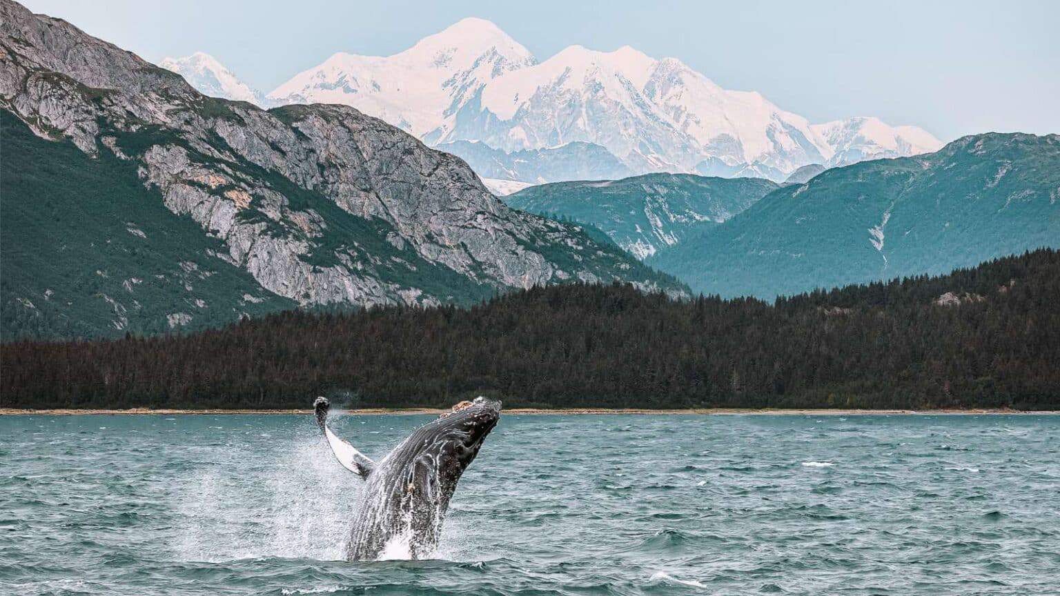 12 Top Things To do in Anchorage, Alaska