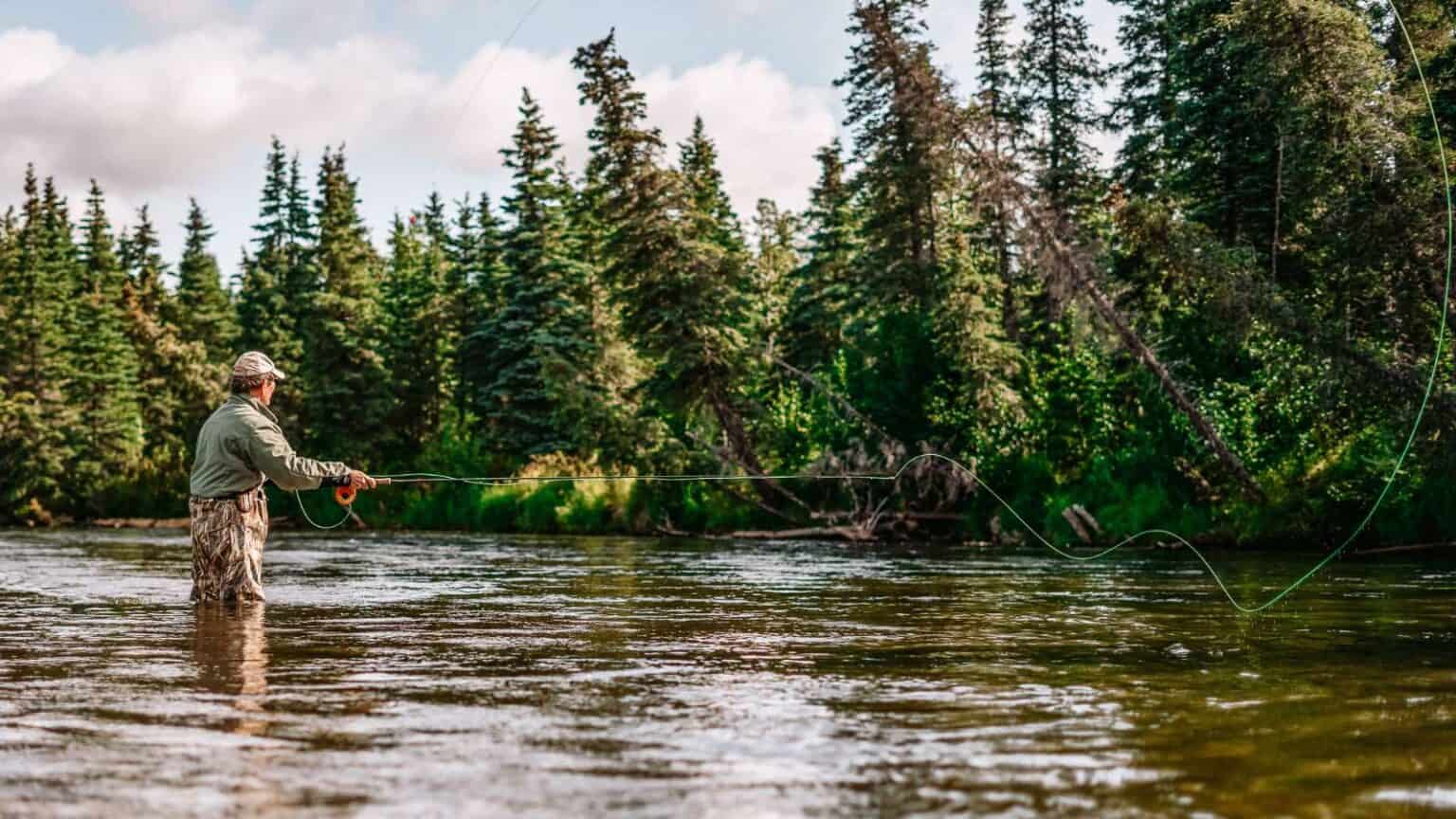 12 Top Things To do in Anchorage, Alaska