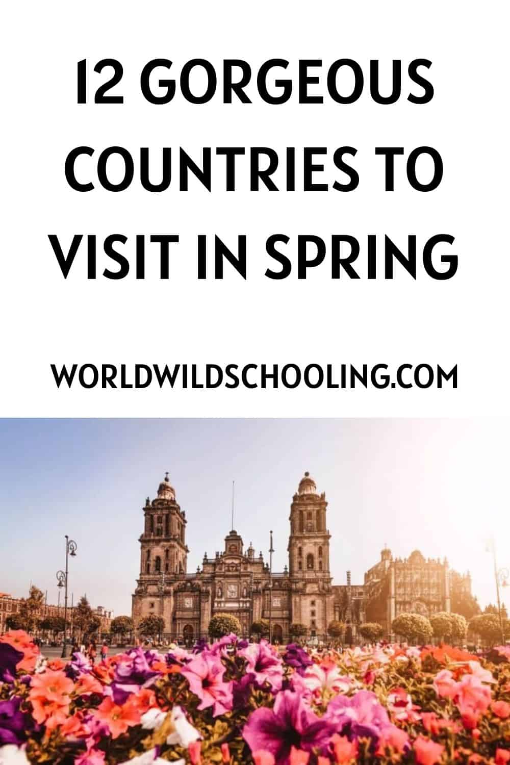 These Countries Come Alive With Cherry Blossoms, Tulip Fields and ...