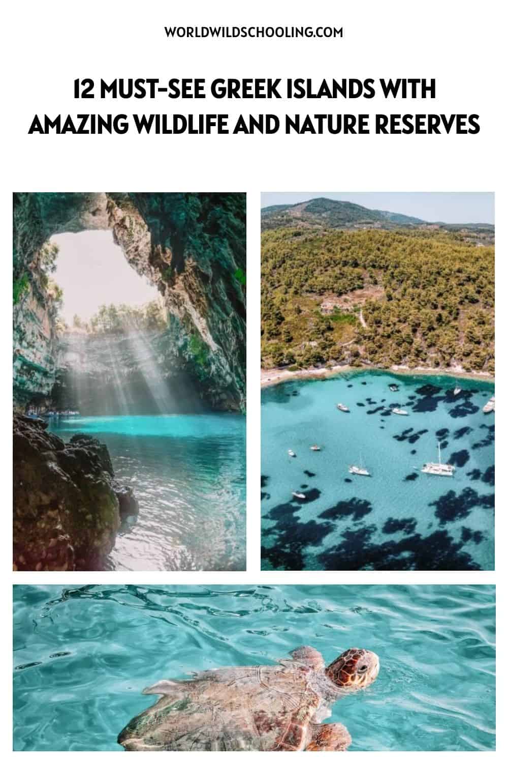 These Greek Islands Are Teeming With Unique Wildlife, From Endangered ...