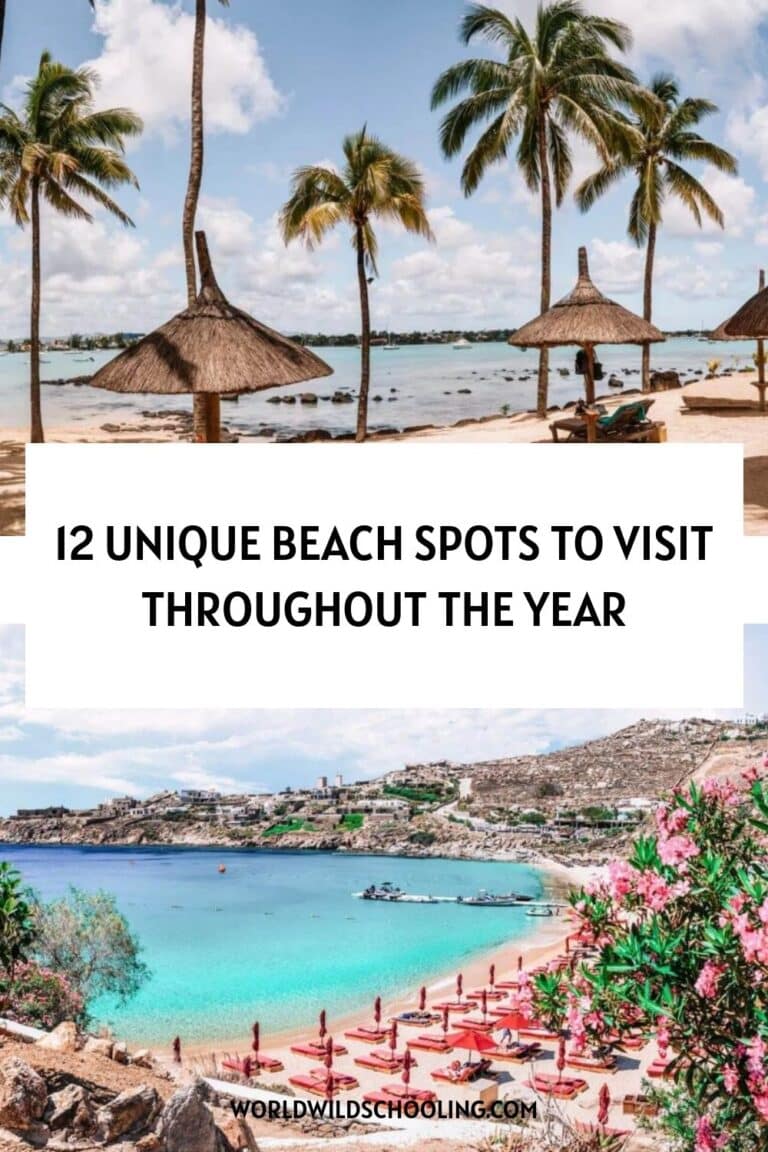 These Destinations Have Perfect Beaches No Matter When You Visit