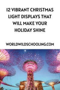 These 12 Dazzling Christmas Light Displays Around the World Will Light ...