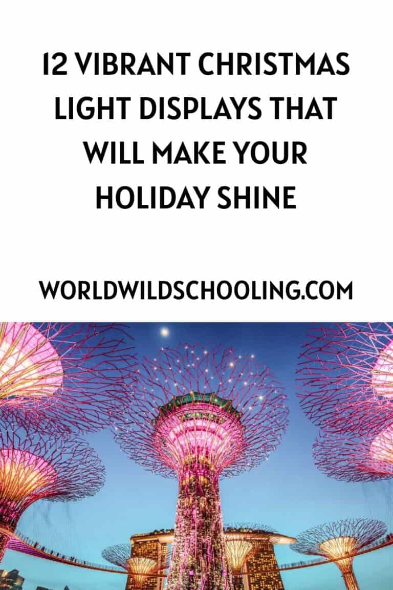 These 12 Dazzling Christmas Light Displays Around the World Will Light ...