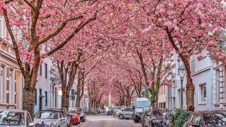 These European Destinations Burst Into Bloom Every Spring — and Their ...