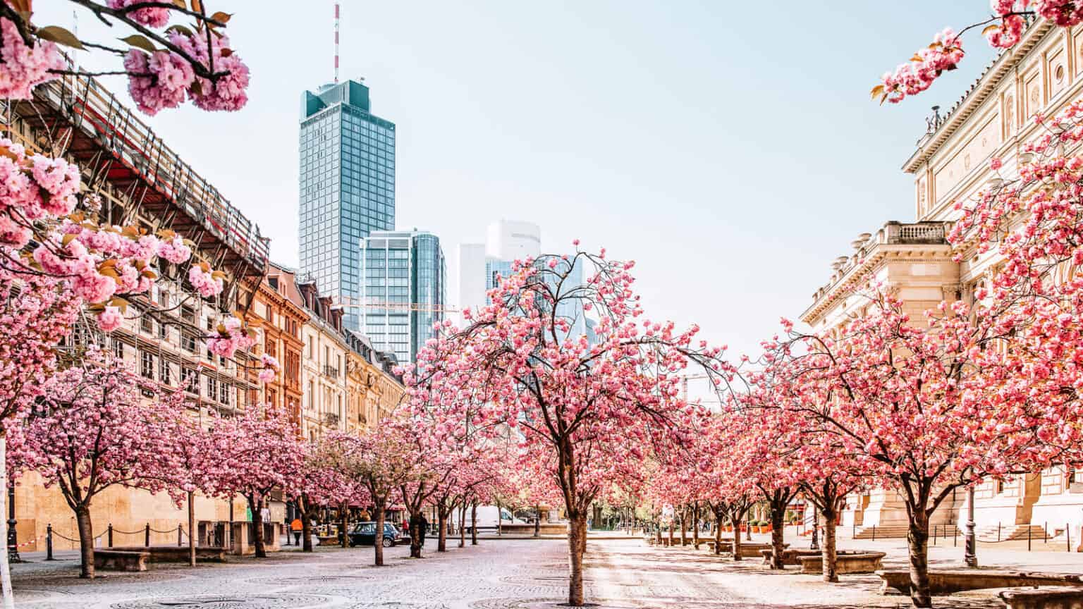 These European Countries Burst Into Bloom in Spring — and Their ...