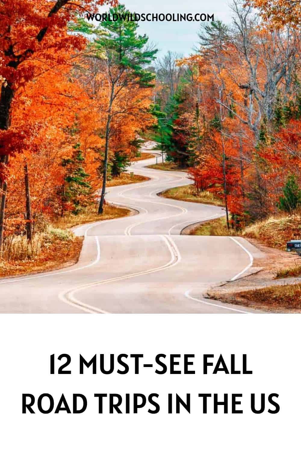 12 Picture-Perfect Fall Road Trips in the US To Fuel Your Wanderlust