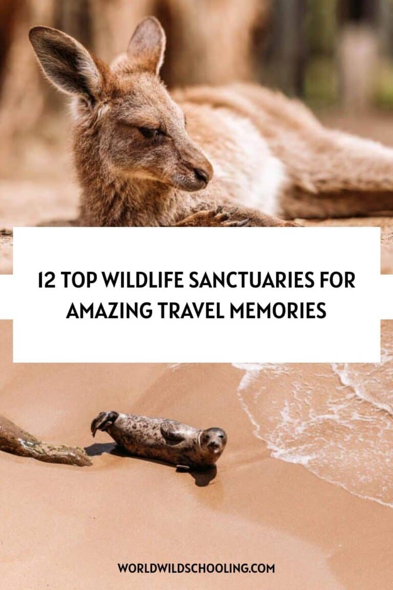 12 Wildlife Sanctuaries Around the World Offering Unforgettable Animal ...
