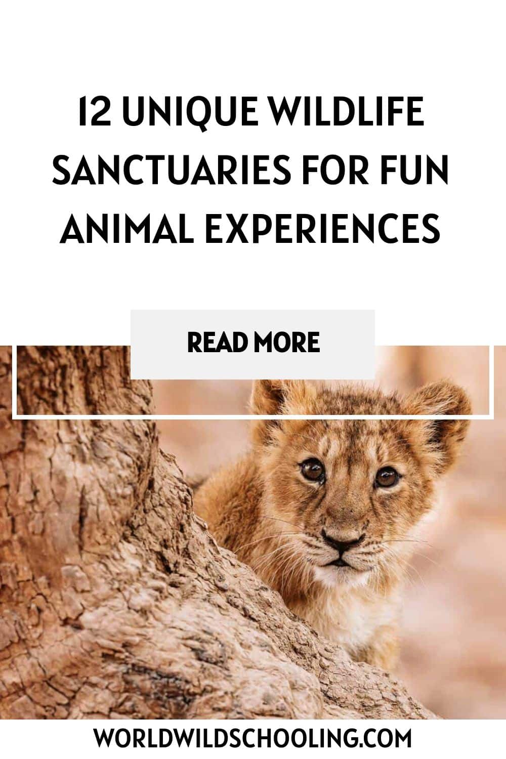 12 Wildlife Sanctuaries Around the World Offering Unforgettable Animal ...