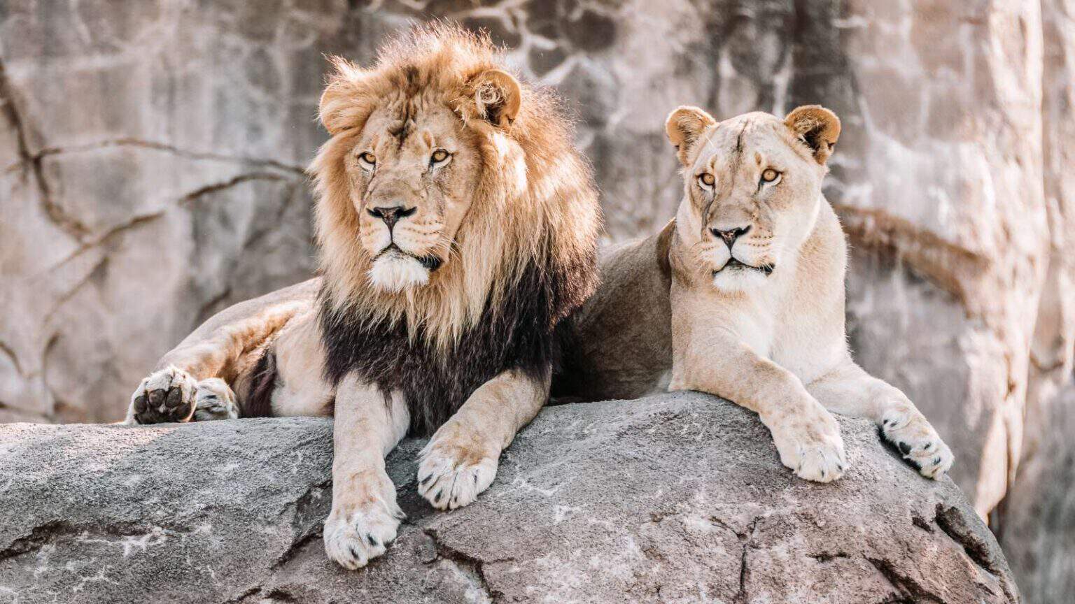 12 Best Things To Do in Yerevan, Armenia