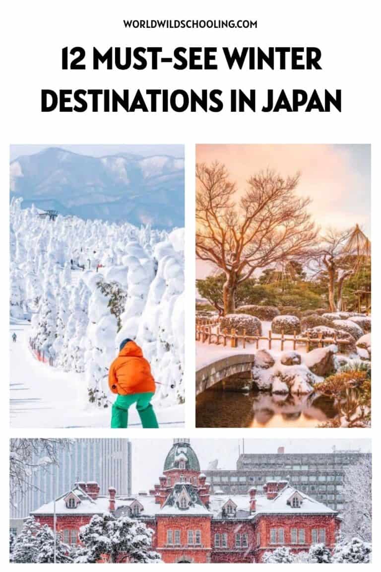12 Best Winter Destinations in Japan You’ll Want To See Covered in Snow