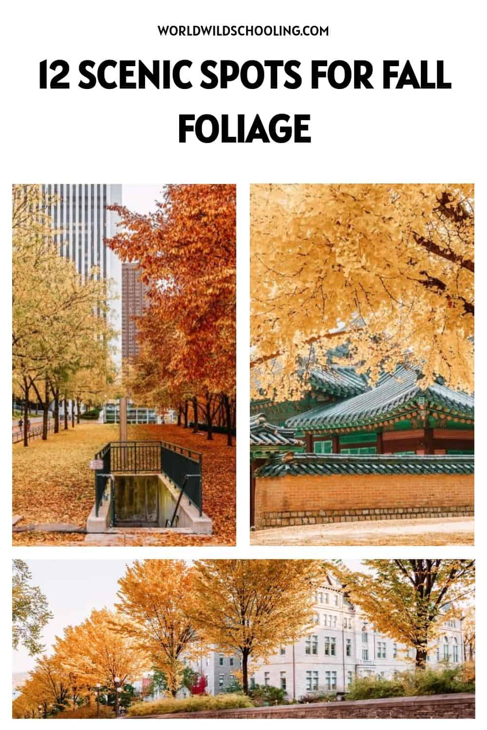 12 Cities Where Fall Foliage Turns the Streets into a Living Art ...