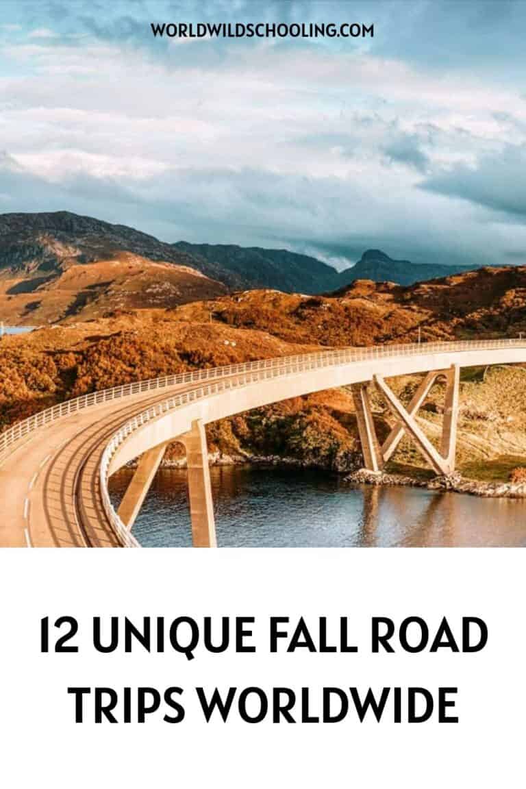 12 Beautiful Fall Foliage Road Trips in the World To See Nature at Its Best