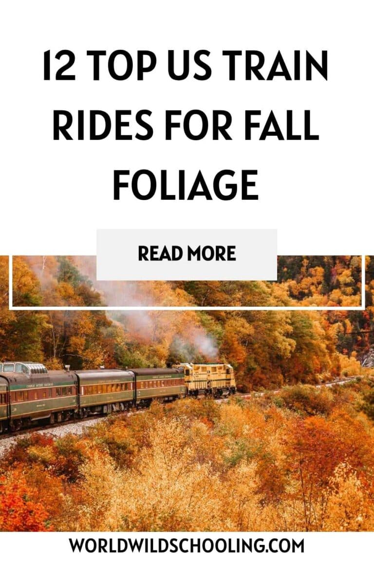 These 12 Fall Foliage Train Rides in the US Will Outshine Your Pumpkin ...