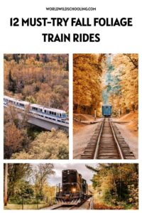 These 12 Train Rides for Fall Foliage Are Peak Autumn Vibes