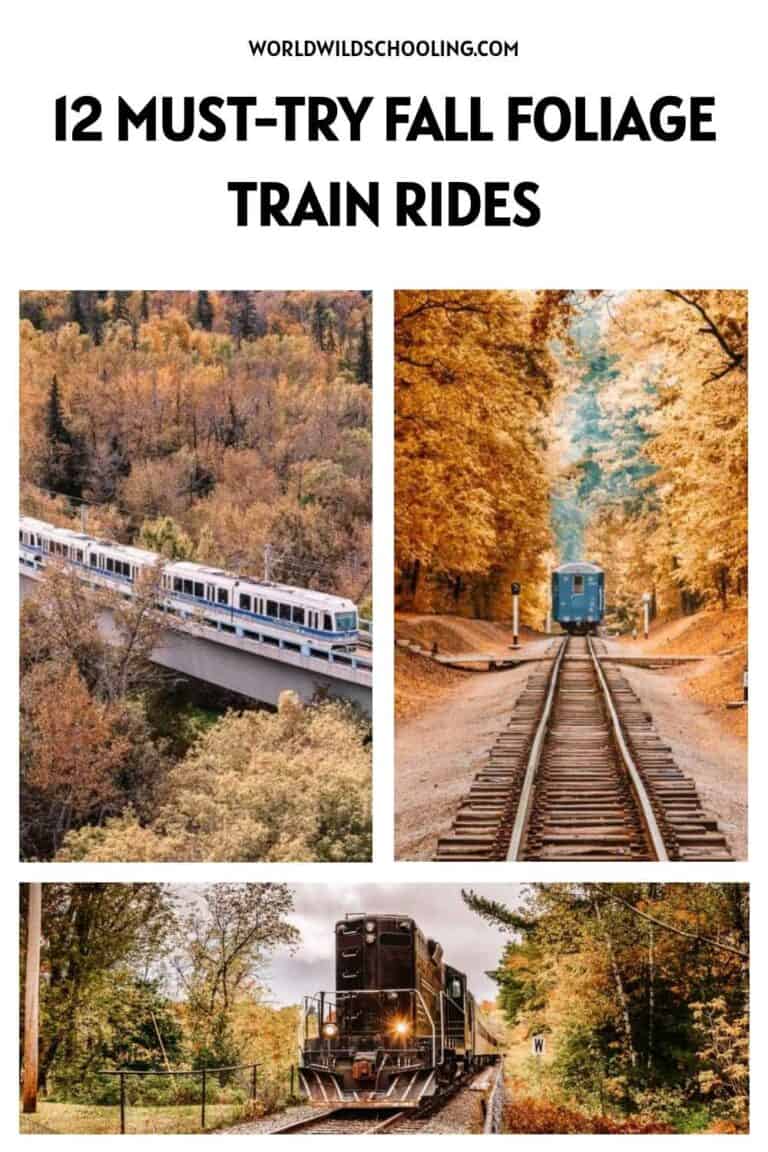 These 12 Train Rides for Fall Foliage Are Peak Autumn Vibes